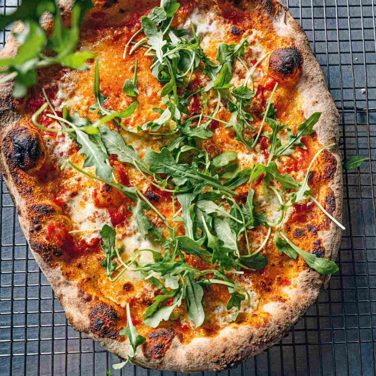 Razza Chef Dan Richer's Panna Pizza — Ooni United Kingdom